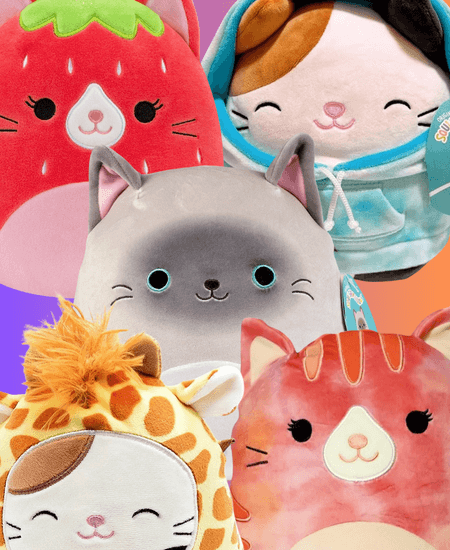 15+ Cats in the Best Cat Squishmallow Collections! [2024]